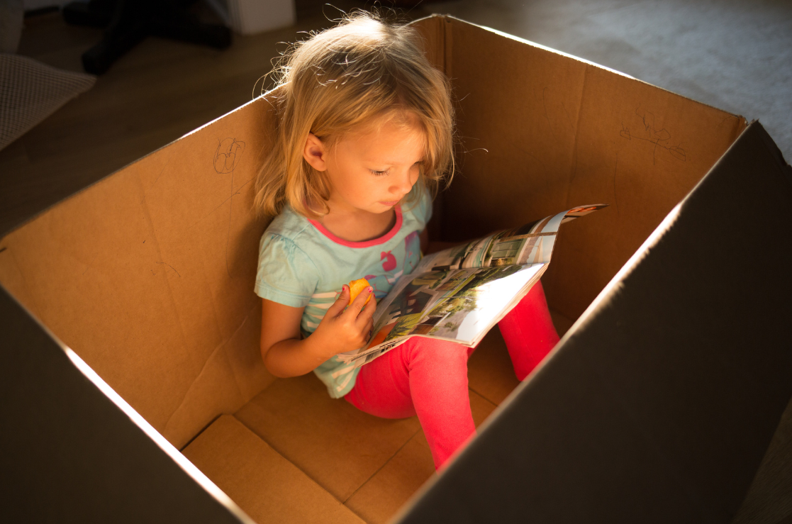 Thinking Outside and Inside the Box – Little Seeds Read